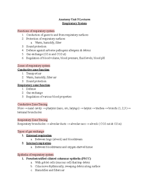 SDSU Human Anatomy Unit Three Blood Vessels - UN TE- BO VEL Pulmonary ...