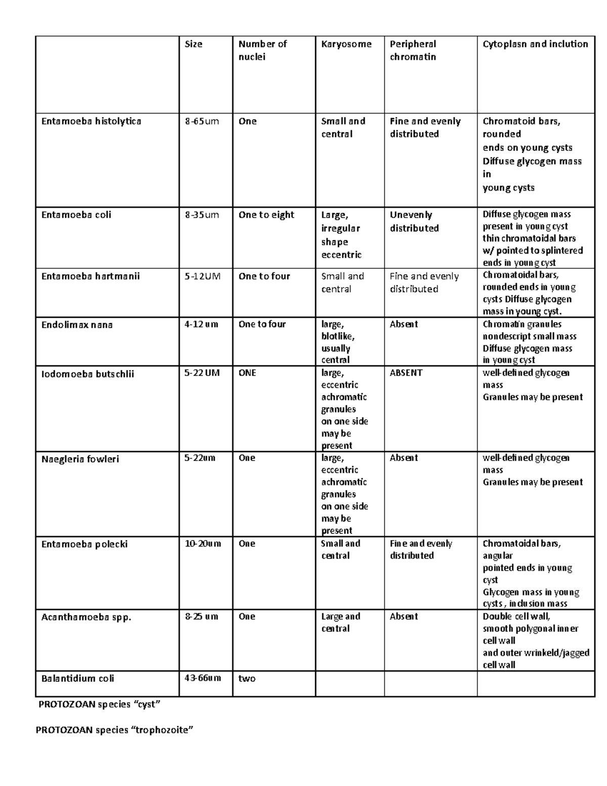 Summary Table of Amoeba - Size Number of nuclei Karyosome Peripheral ...