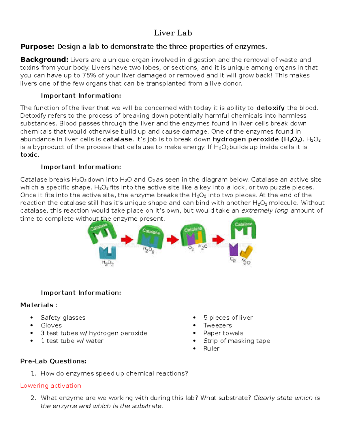Liver lab - Liver Lab Purpose: Design a lab to demonstrate the three ...