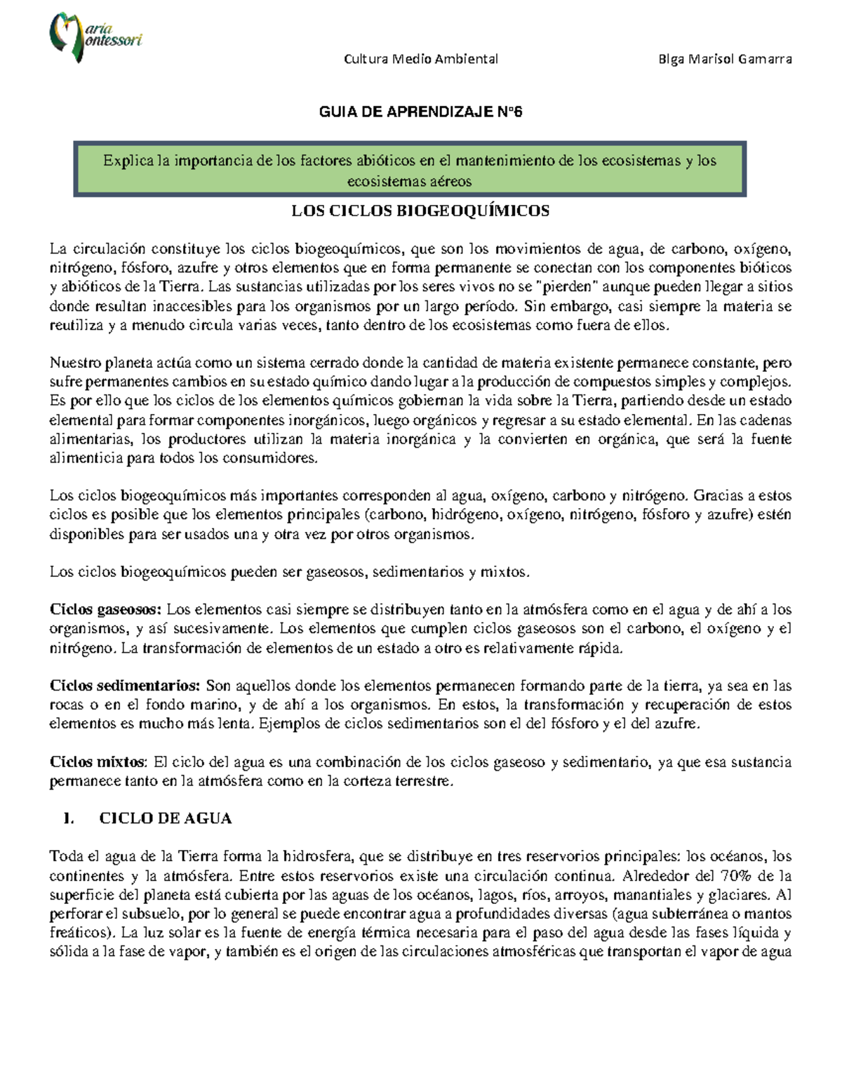 GUIA N 06 Ciclos Biogeoquimicos - GUIA DE APRENDIZAJE N° LOS CICLOS BIOGEOQUÍMICOS La ...