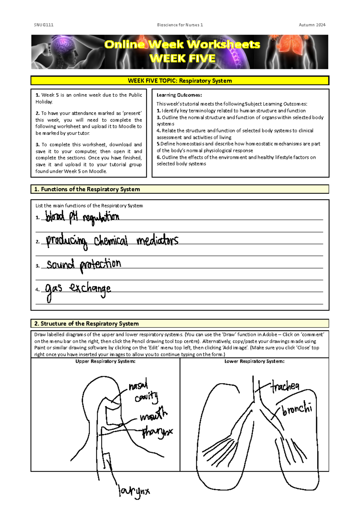 respiratory system reviewer - SNUG111 Bioscience for Nurses 1 Autumn ...