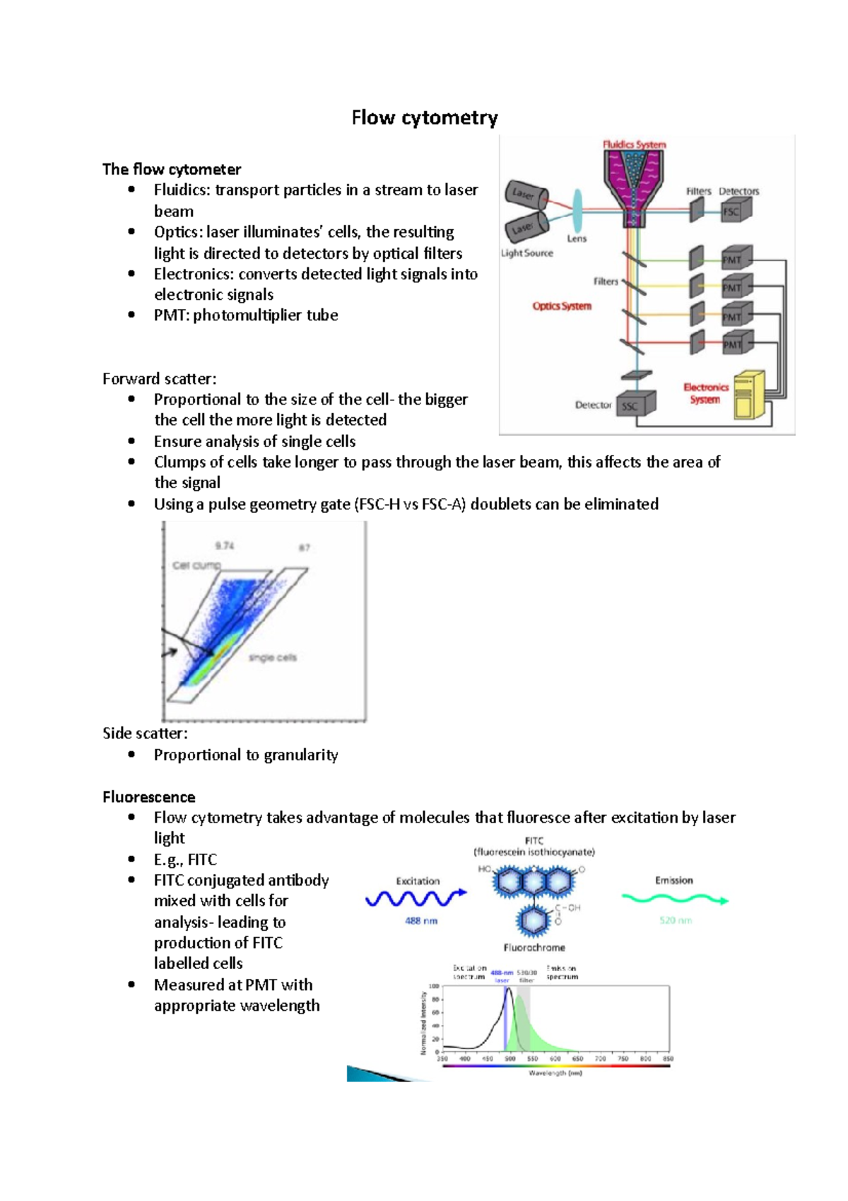 Flow cytometry - , FITC FITC conjugated antibody mixed with cells for ...