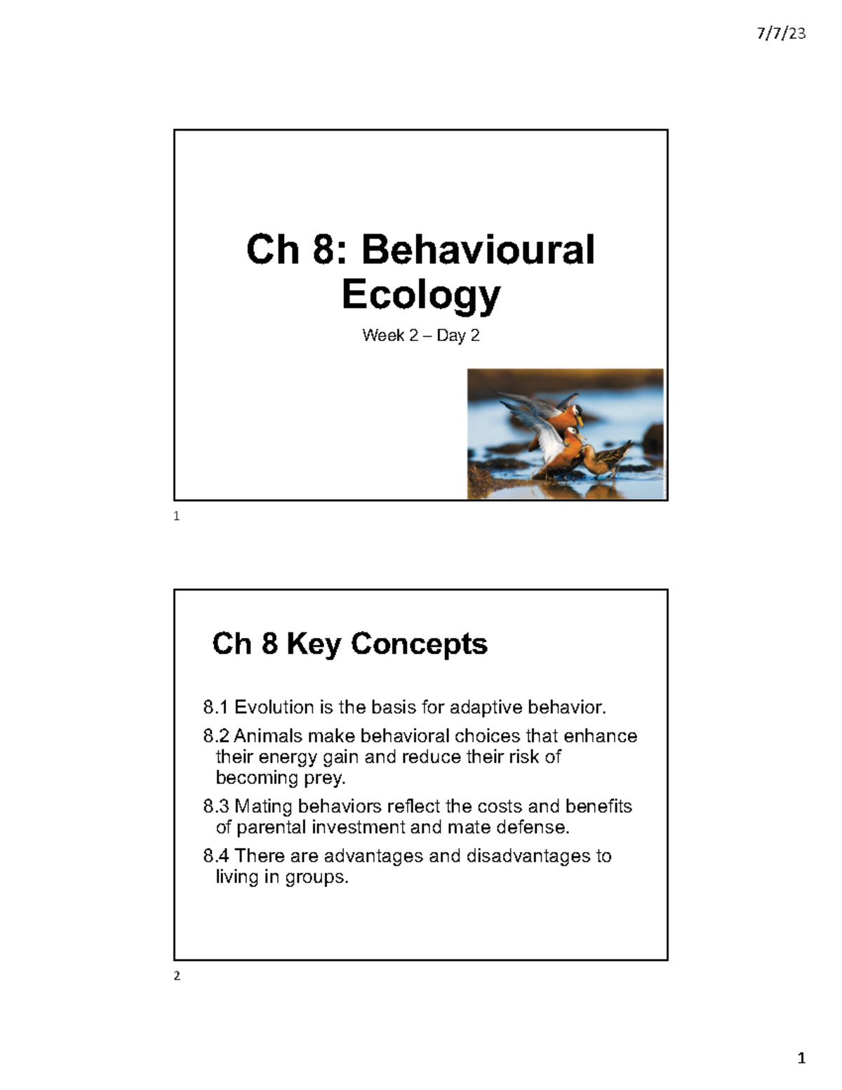 Lecture 7 - Ch 8: Behavioural Ecology Week 2 – Day 2 1 Ch 8 Key ...