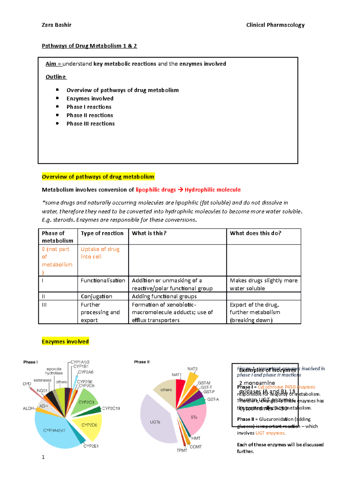 1 and 2. Pathways of Drug Metabolism 1 and 2 - Pathways of Drug ...