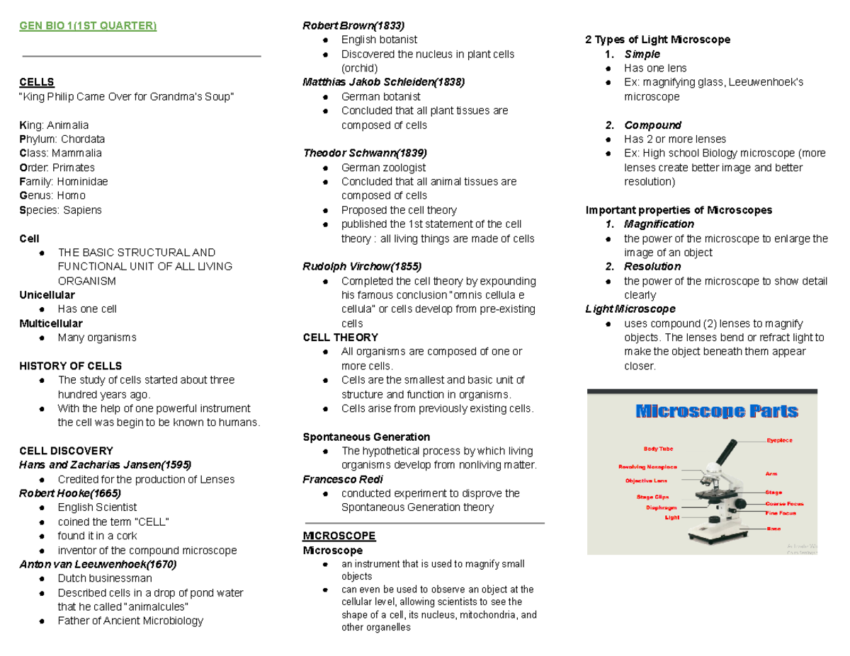 GEN BIO 1(1ST Quarter) - genbio - GEN BIO 1(1ST QUARTER) CELLS “King ...