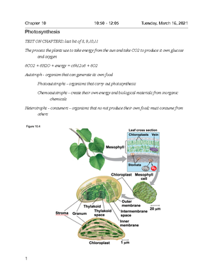Biology Ch.16 Study Guide - General Biology Chapter 16 Overview: Life’s ...