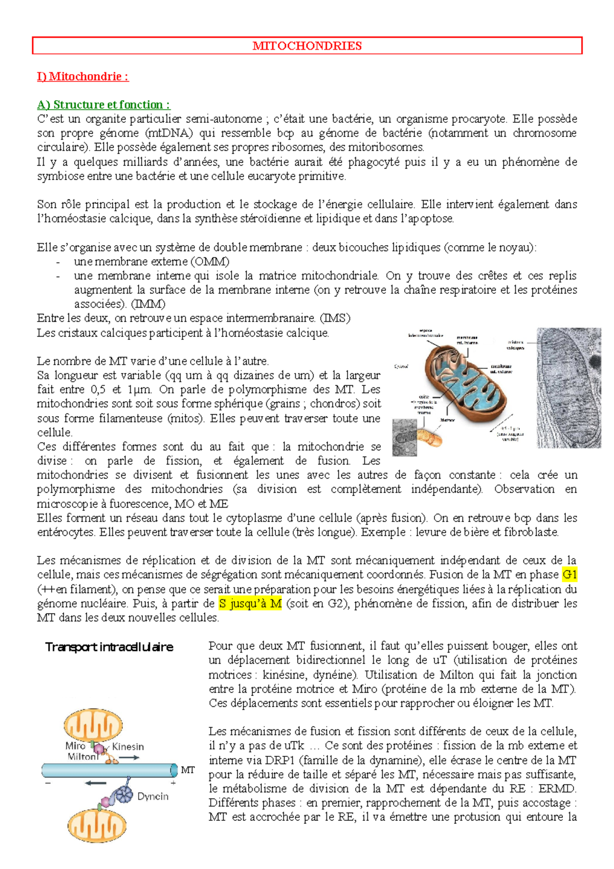 La mitochondrie - MITOCHONDRIES I) Mitochondrie : A) Structure et fonction : C’est un organite ...