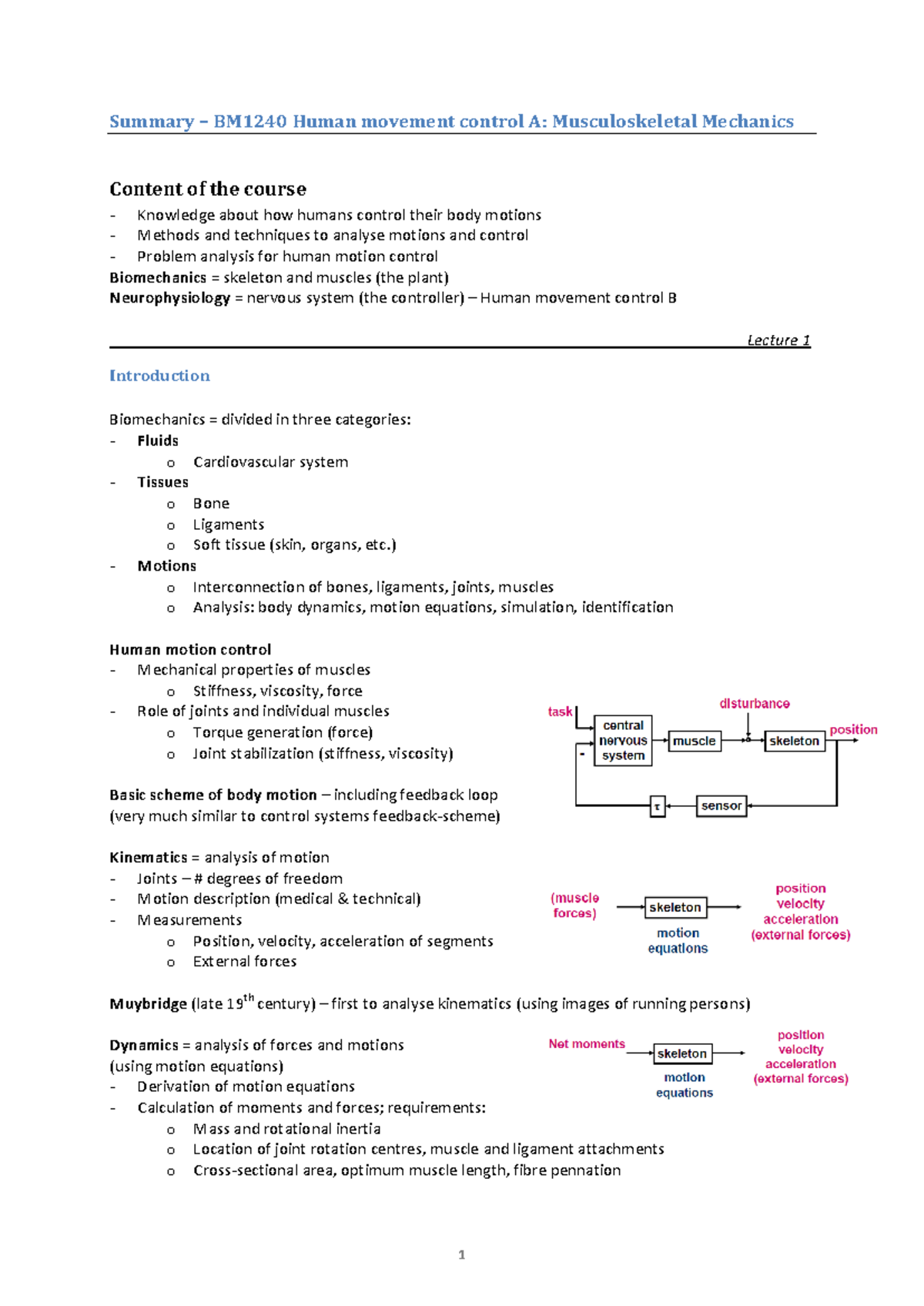Summary Human Movement Control A: Musculoskeletal Mechanics: complete ...