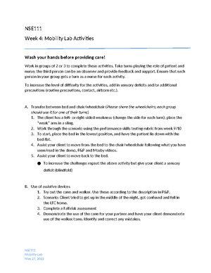 Hand Hygiene Rubric Rationale - NSE Foundations for Nursing Practice ...