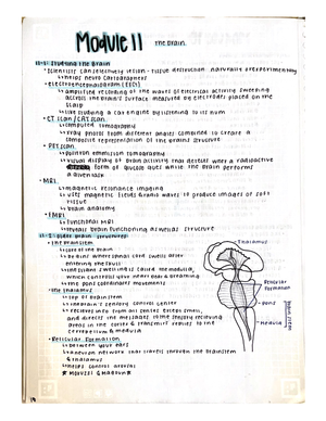 Project Guide - Internet Dilemmas - Unit 2 Lesson 7 - - Studocu