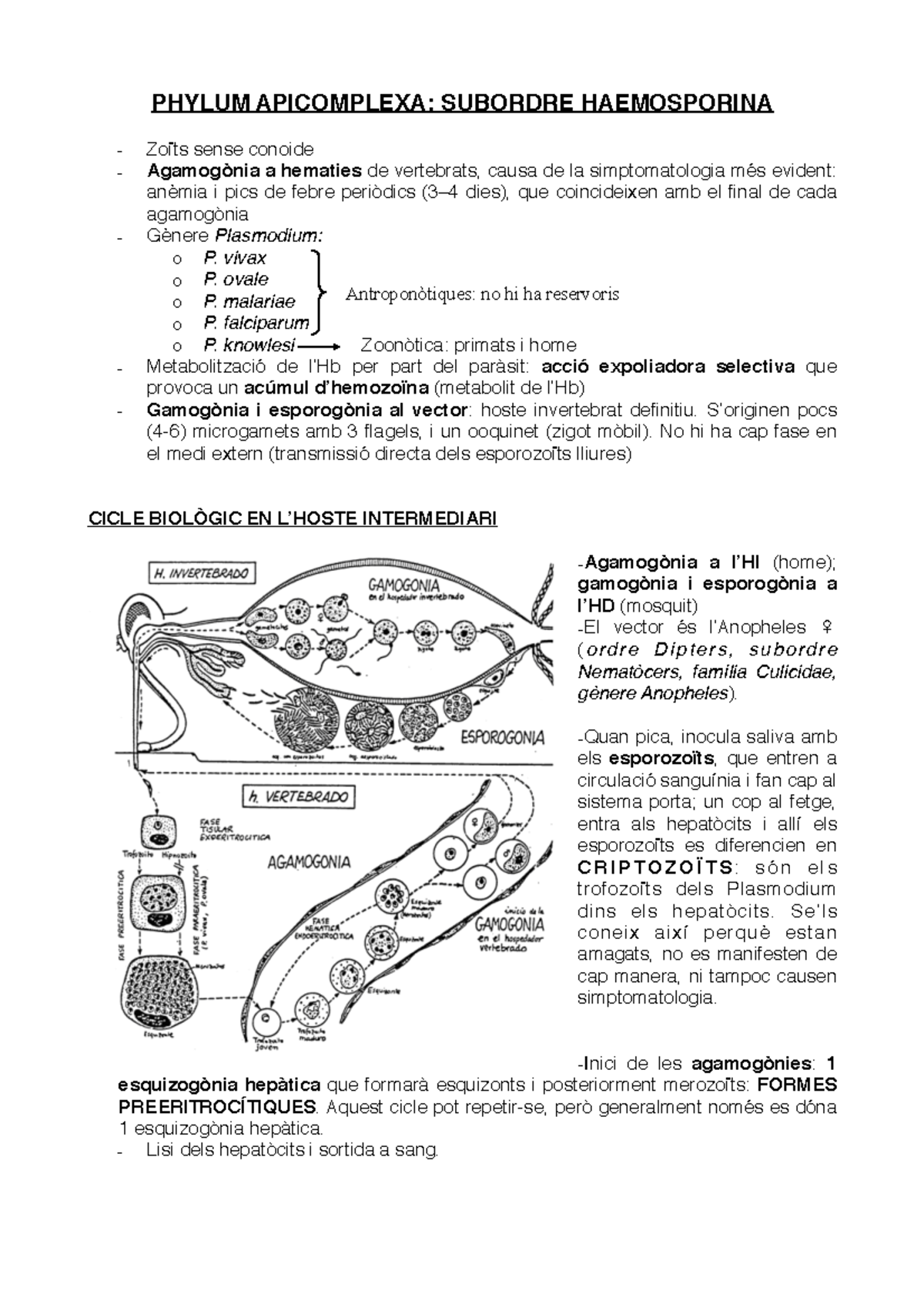 T11 Protozous Apicomplexa. Família Plasmodiidae - PHYLUM APICOMPLEXA ...