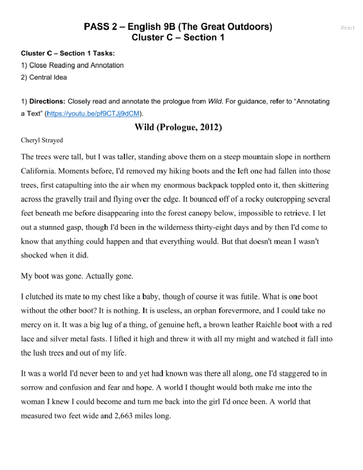 Section 1 cluster c - Print - Studocu