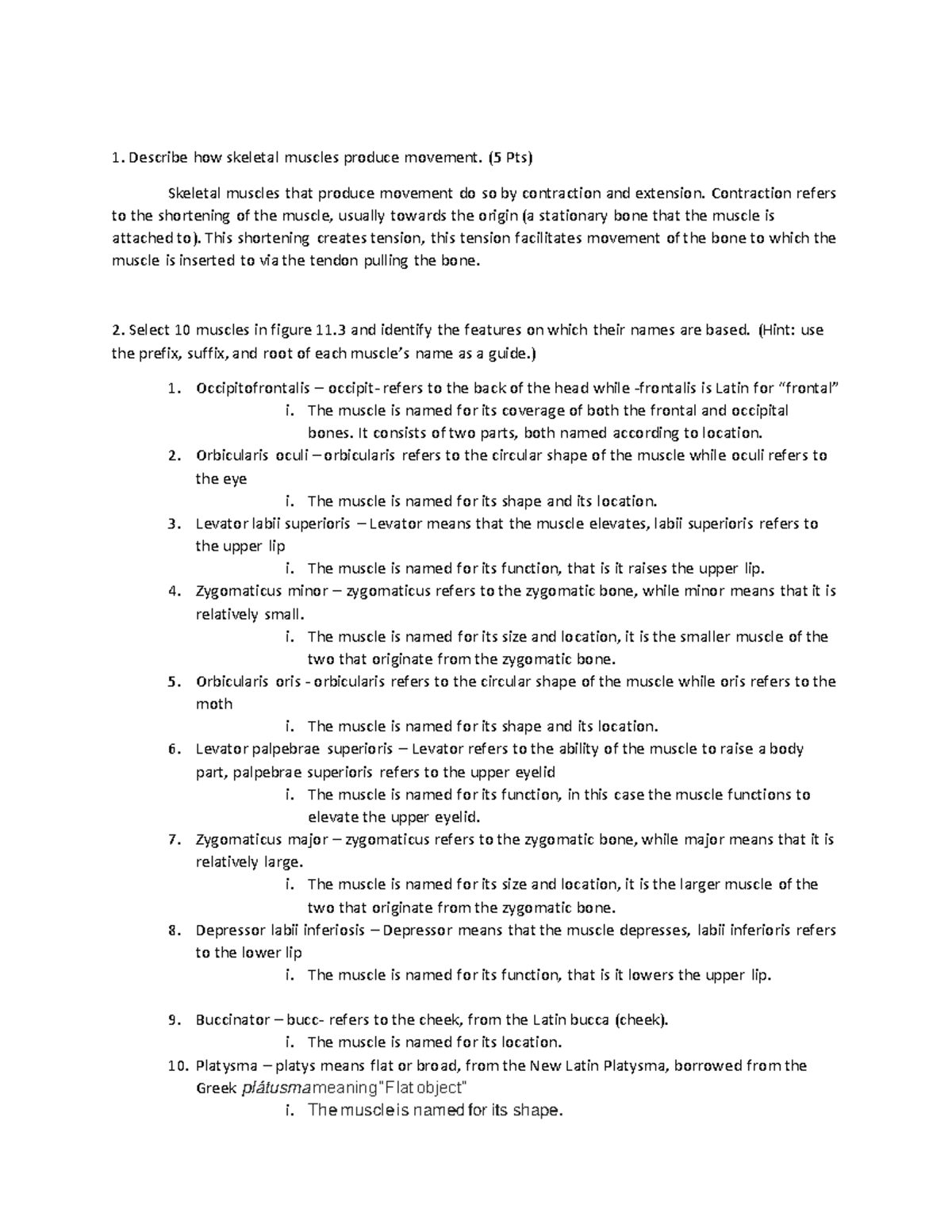 Assignment for Muscular system - Describe how skeletal muscles produce ...