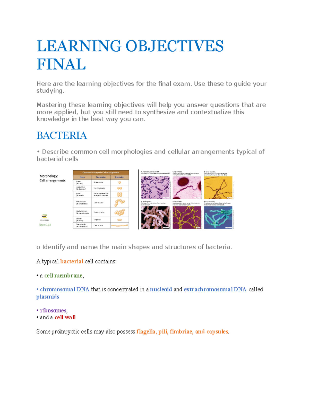 Learning Objectives Final Microbio - LEARNING OBJECTIVES FINAL Here are ...
