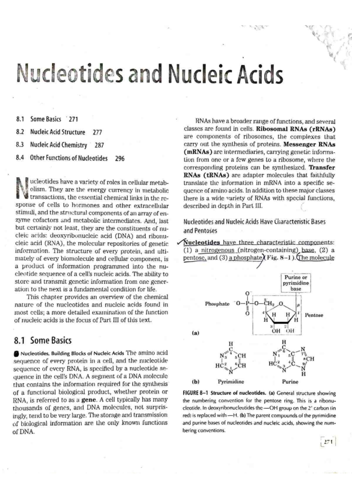 Nucleotides - Study notes - Biochemistry - Studocu