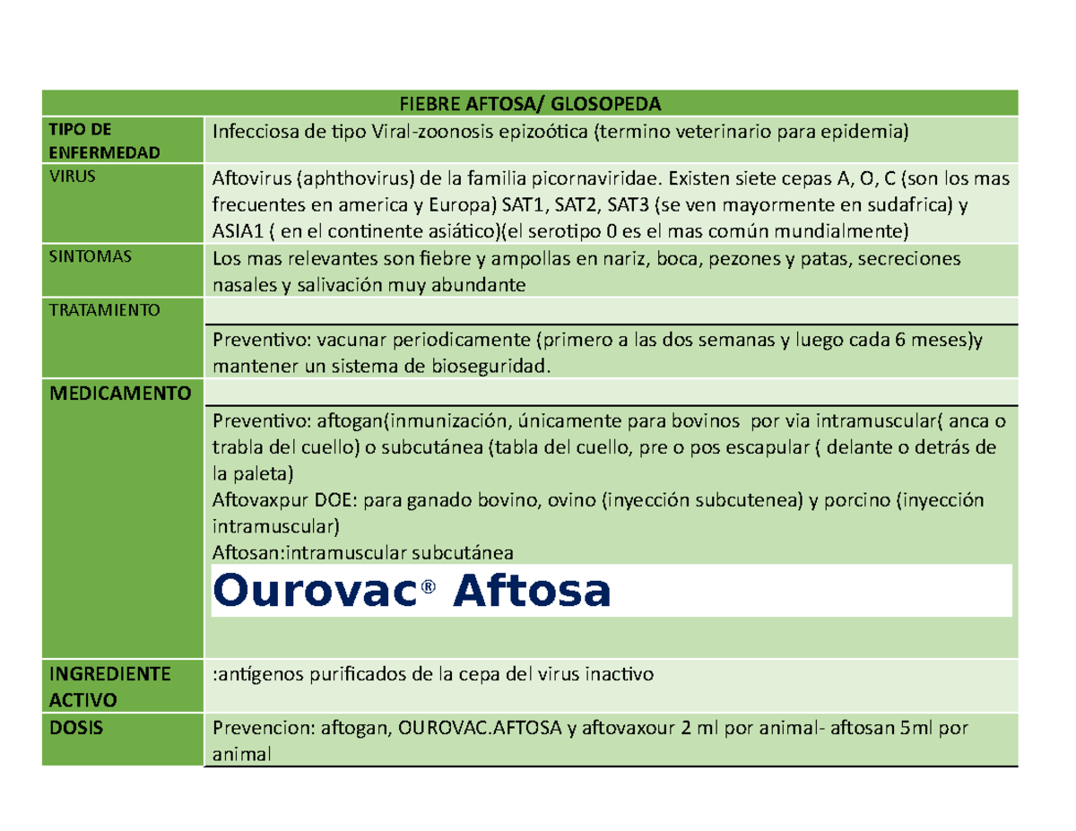 Fiebre Aftosa - sintomas, prevencion. - FIEBRE AFTOSA/ GLOSOPEDA TIPO ...