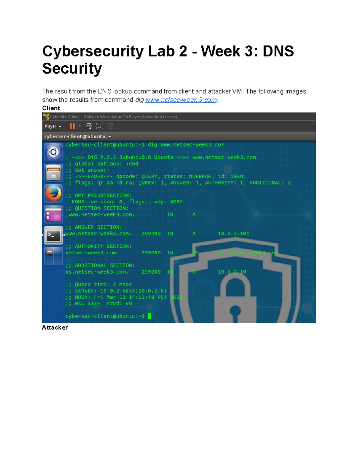 Cyber Sec Lab 2 - Cybersecurity Lab 2 - Week 3: DNS Security The result ...