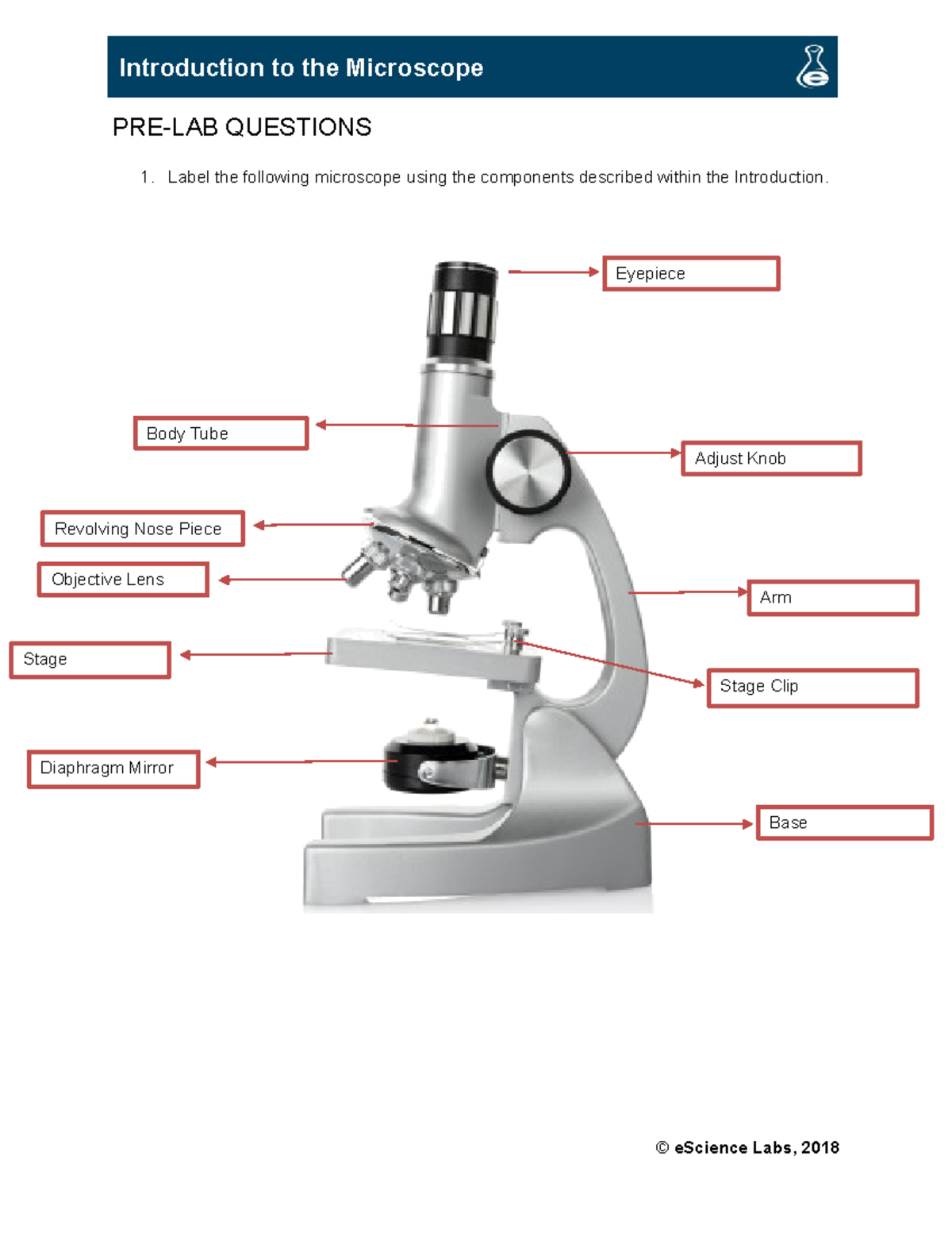 E Science Microscope LAB PRE LAB QUESTIONS Label The Following