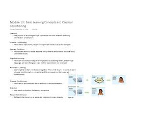 Psych Quiz #9 - Professor Frederick - Thinking, Language ...