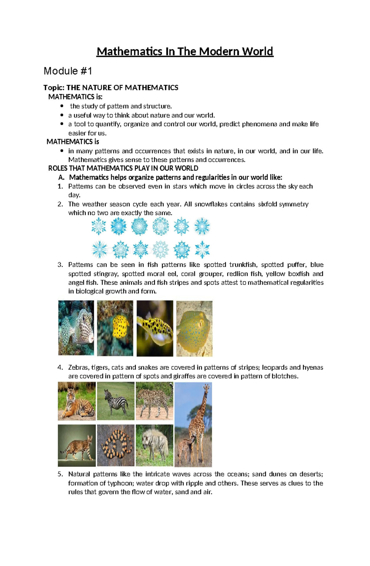 Mathematics IN Modern World - Mathematics In The Modern World Module ...