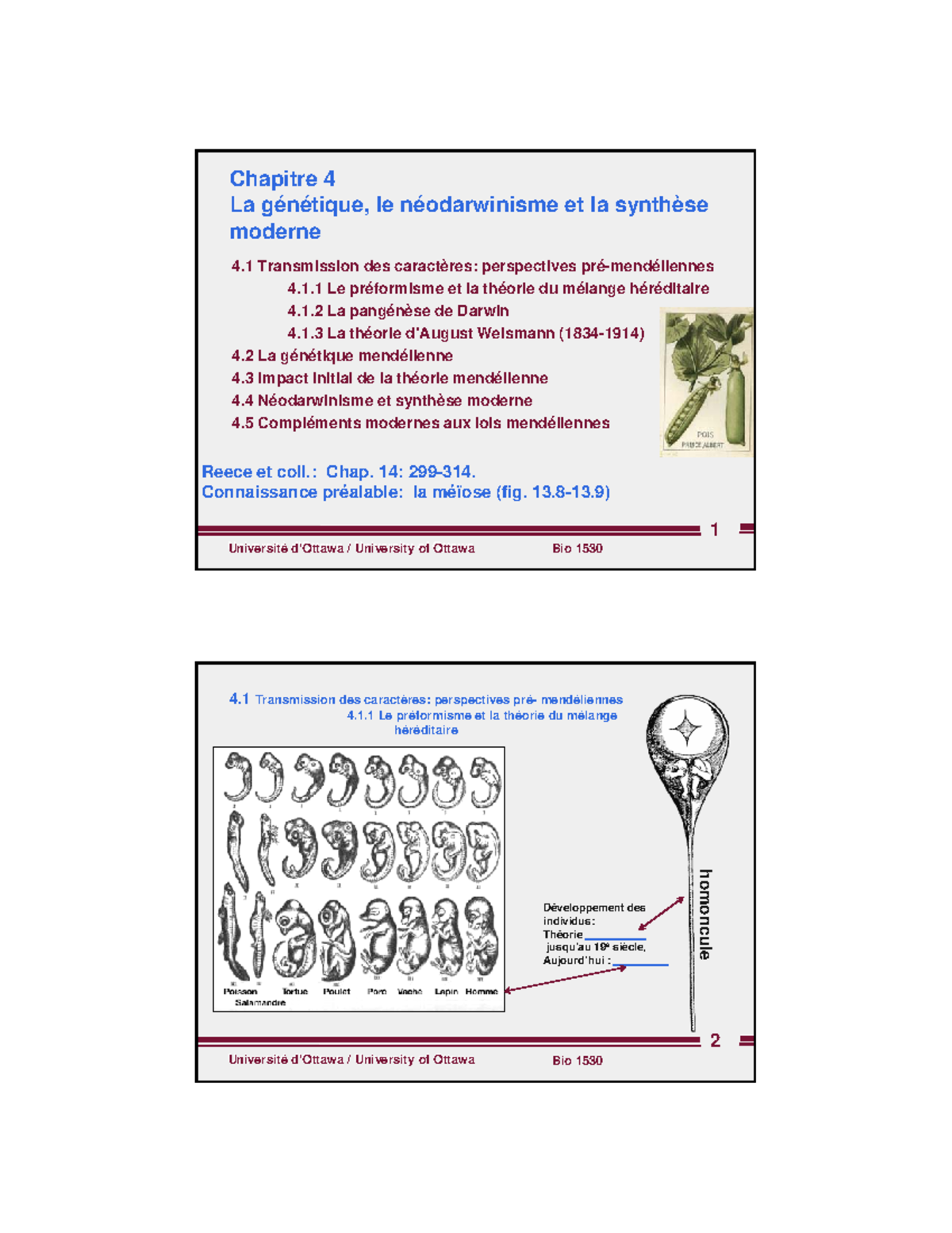 Bio1530-2019- Chapitre 4 - Génétique-néodarwinisme-synthèse moderne ...