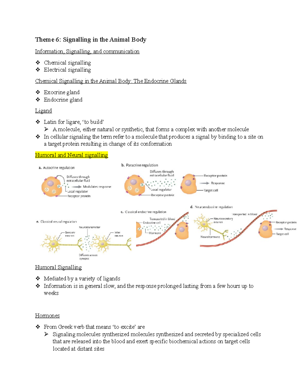 Theme 6: signaling in the animal body - Theme 6: Signalling in the ...