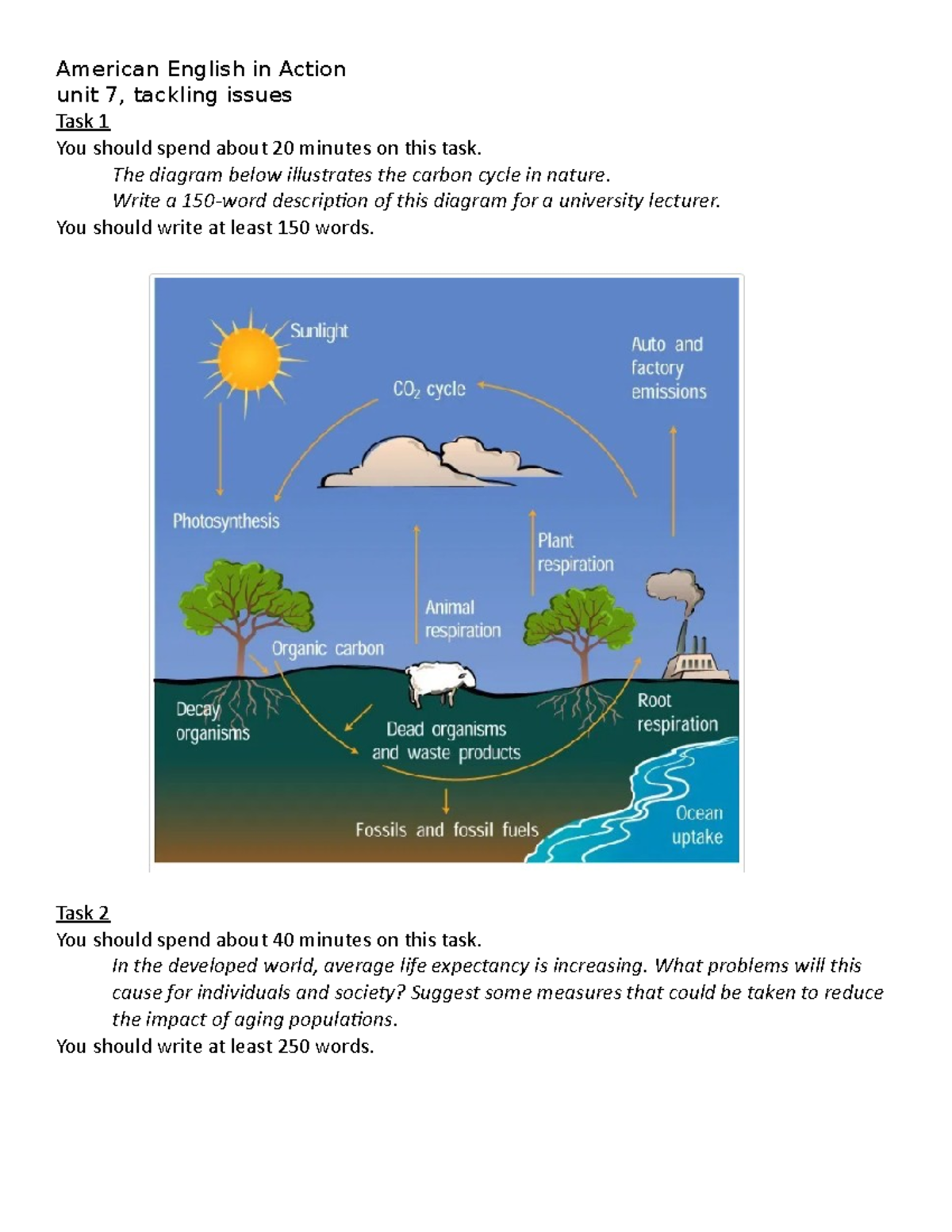 Writing tackling issues - American English in Action unit 7, tackling ...