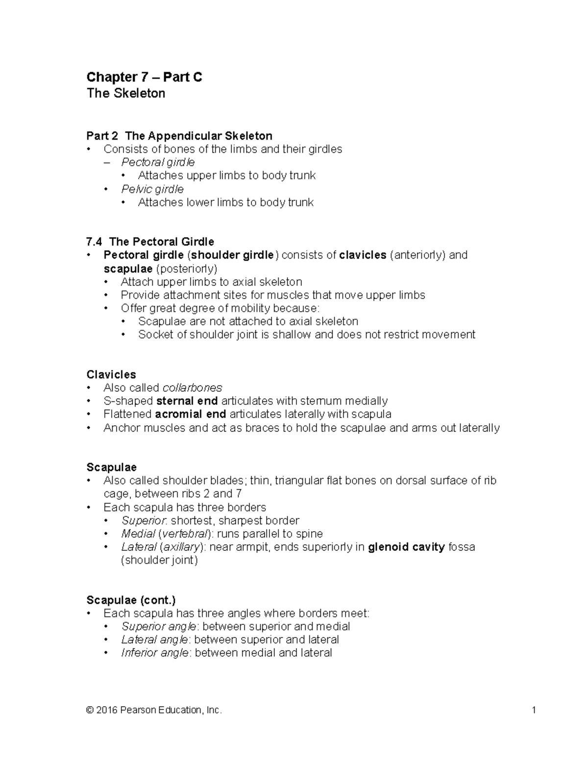 CH.7C The Skeleton Lecture Notes - Chapter 7 – Part C The Skeleton Part ...