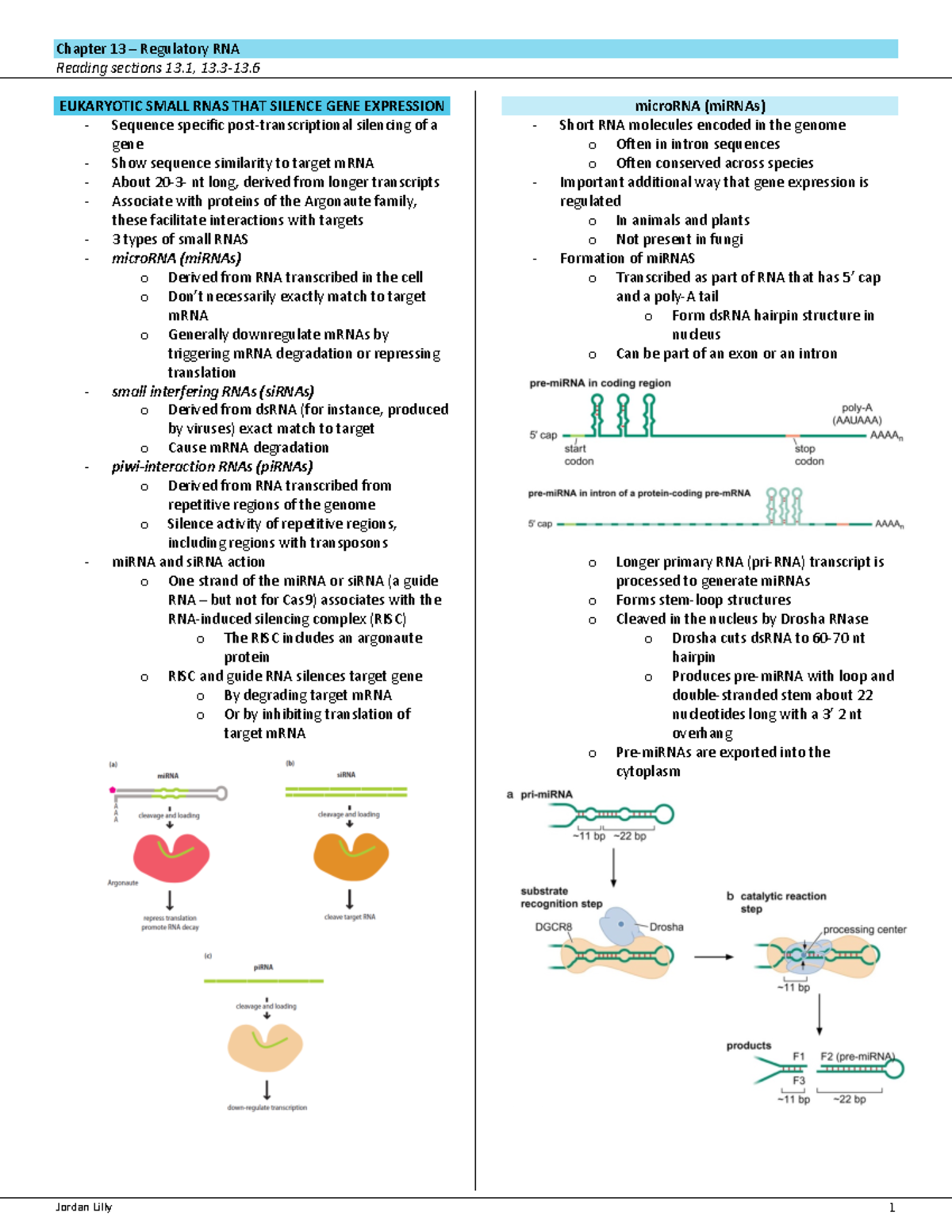 Molecular Biology Chapter 13 Exam 3 - Reading sections 13, 13-13 ...