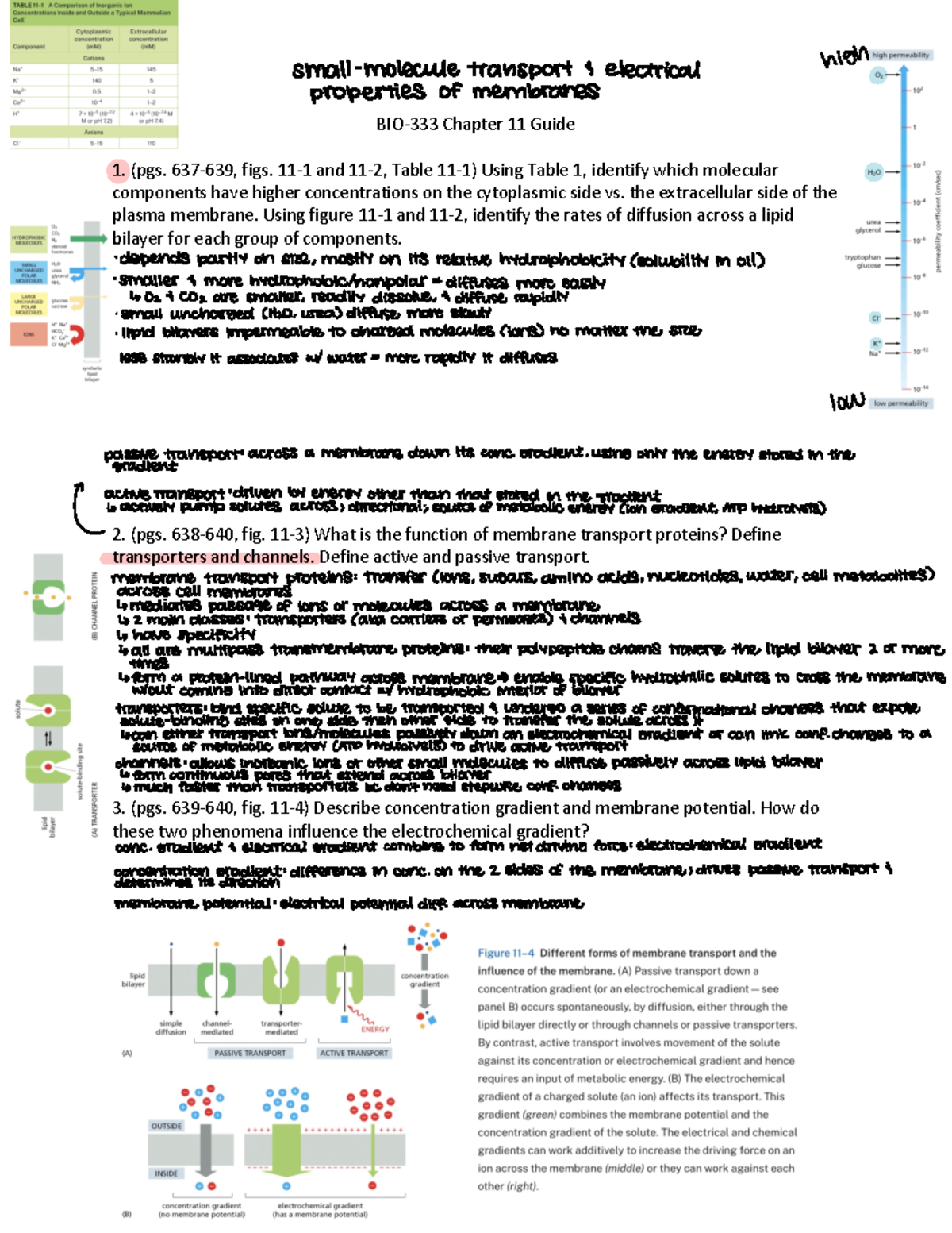 Bio333 Chapter 11 Guide Bio 333 Chapter 11 Guide Pgs 637 63 9