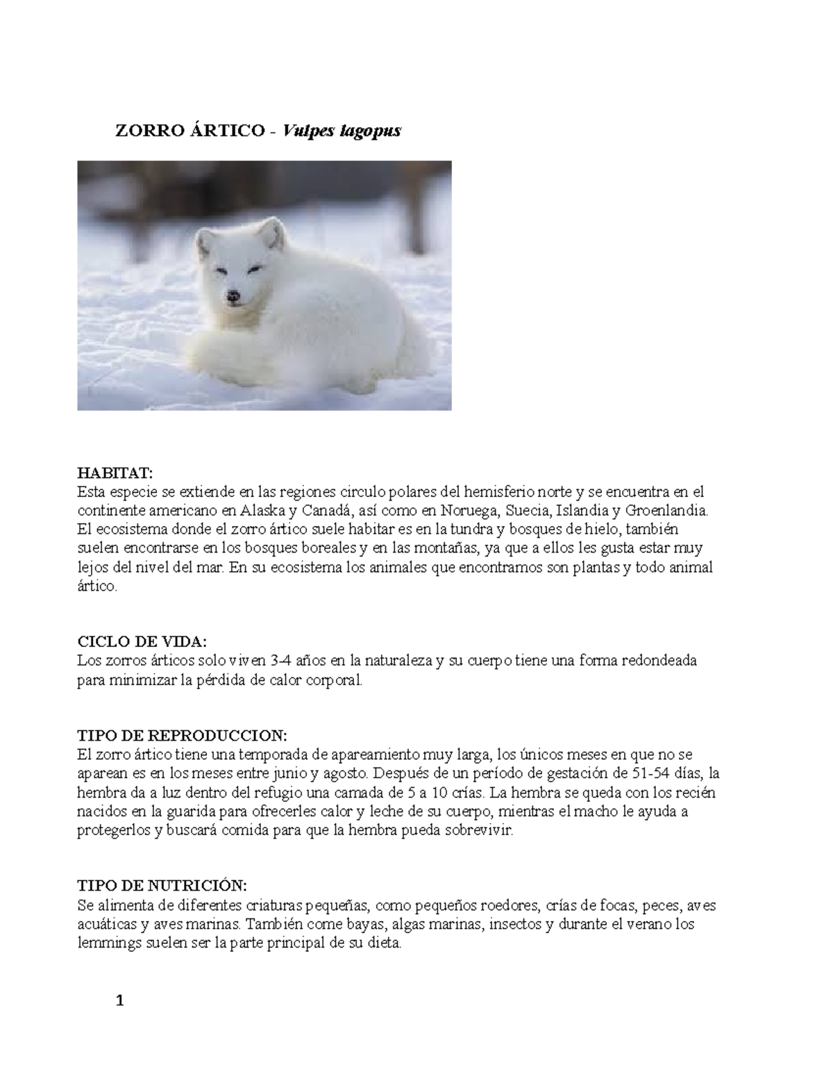 Evidencia 2- ciencias - ZORRO ÁRTICO - Vulpes lagopus HABITAT: Esta ...