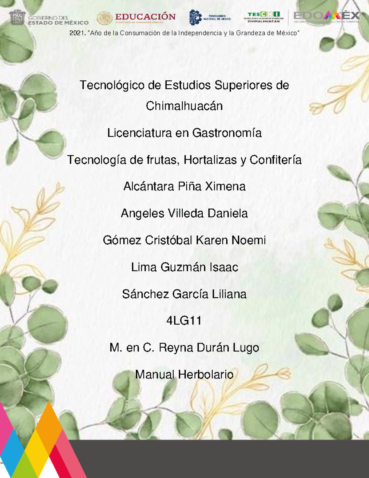 Manual Herbolario - Plantas para cuidar la salud - Tecnológico de ...