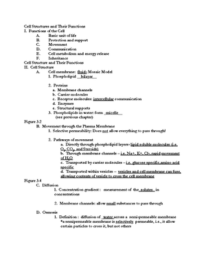 Anatomy Diagrams for Nursing School - ANATOMICAL DIAGRAMS FOR MEDICAL ...