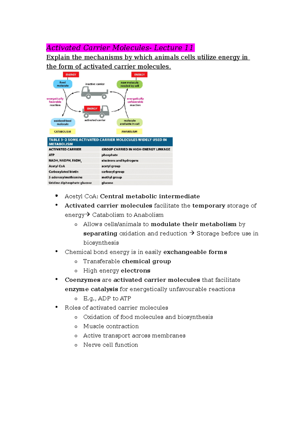 Activated Carrier Molecules - Acetyl CoA: Central metabolic ...