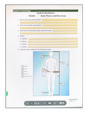 Chapter 2 The Human Body in Health and Disease - Medical Terminology ...