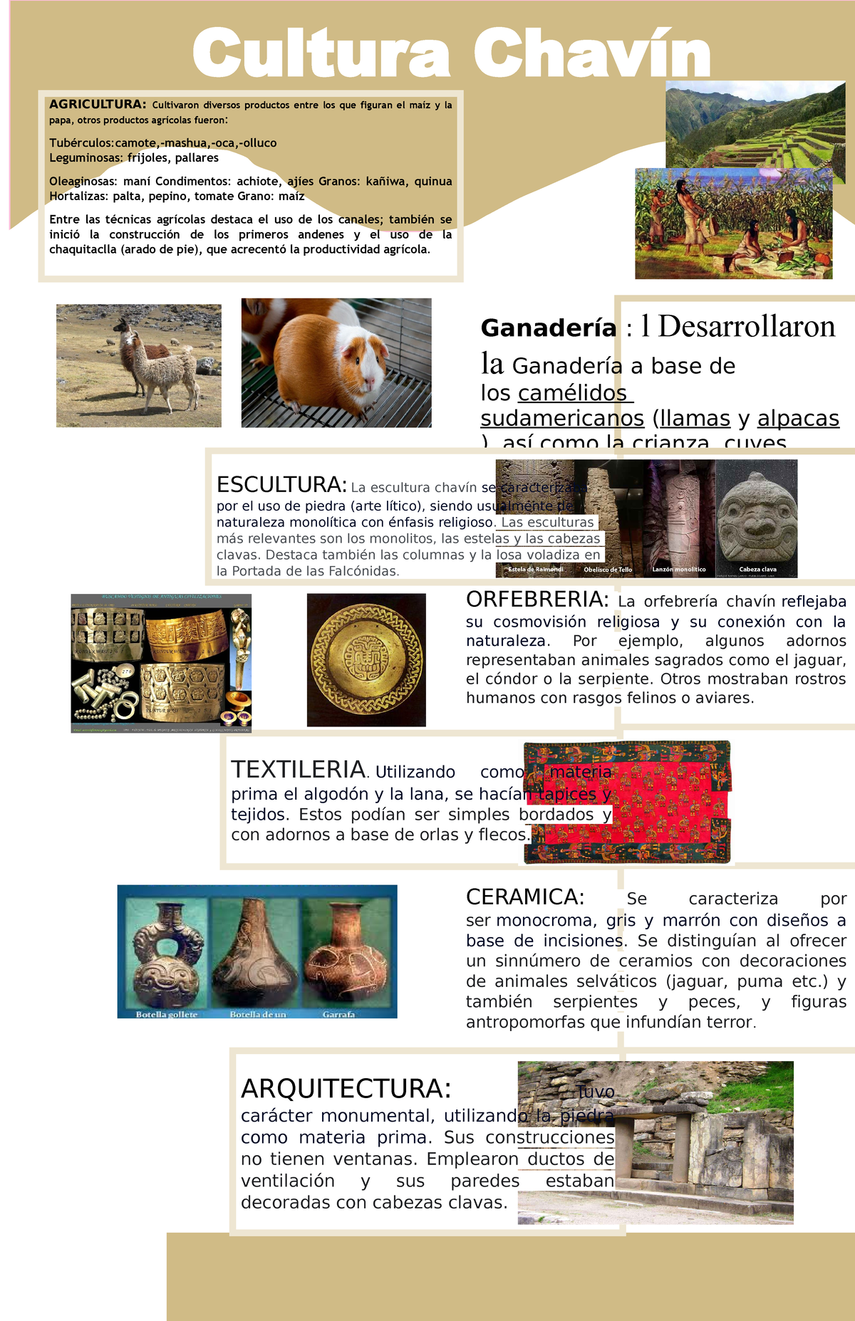 Cultura chavin uwu - copia - ####### 4 ####### AGRICULTURA: Cultivaron ...