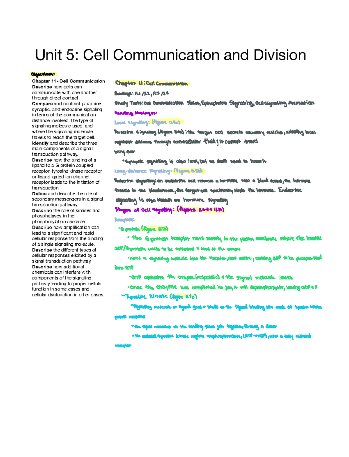 Unit 5 Running Study Guide - Unit 5: Cell Communication and Division ...
