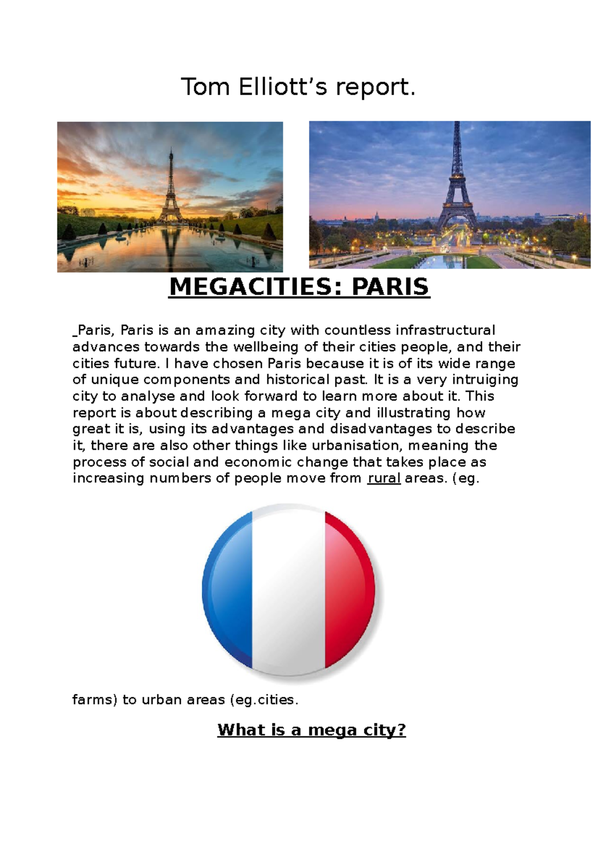 Humanities megacity report - Tom Elliott’s report. MEGACITIES: PARIS ...