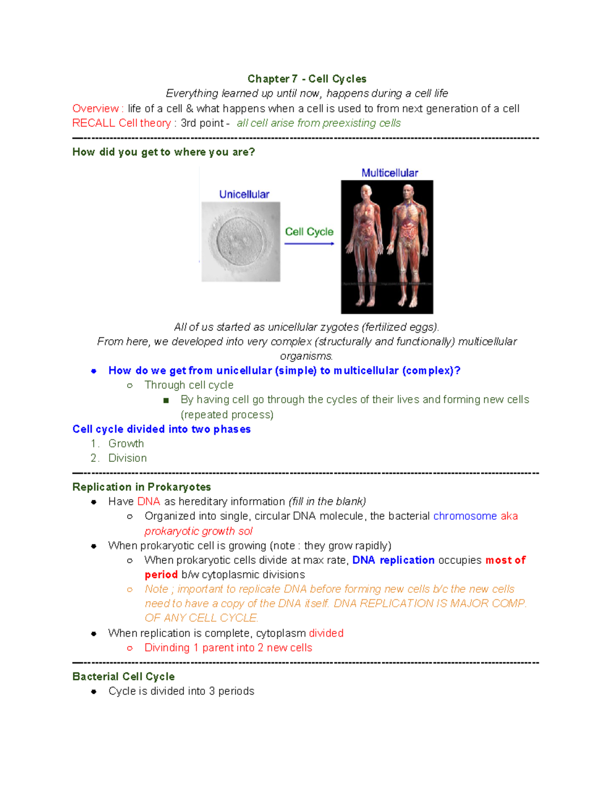 Cell Cycles - chapter 7 - Chapter 7 - Cell Cycles Everything learned up ...