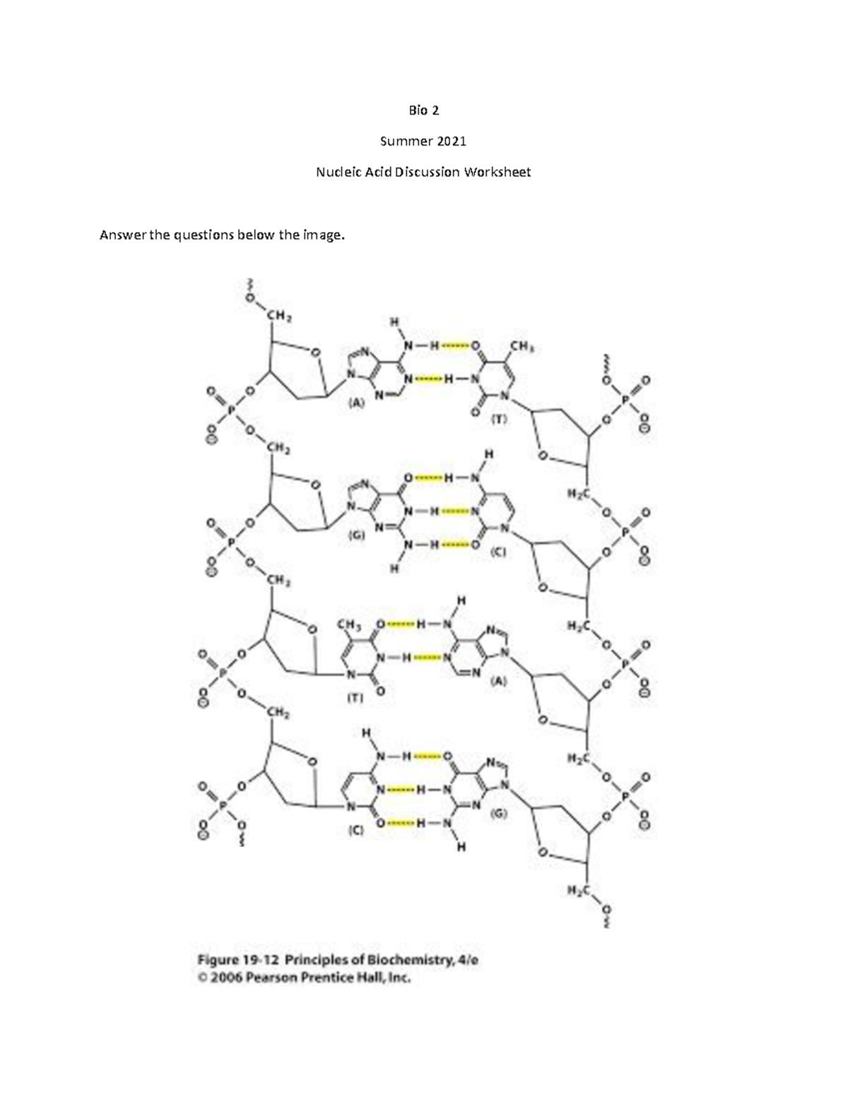 Nucleic Acid Worksheet 2 Part 1 2 2 4 13 - Bio 2 Summer 20 21 Nucleic ...