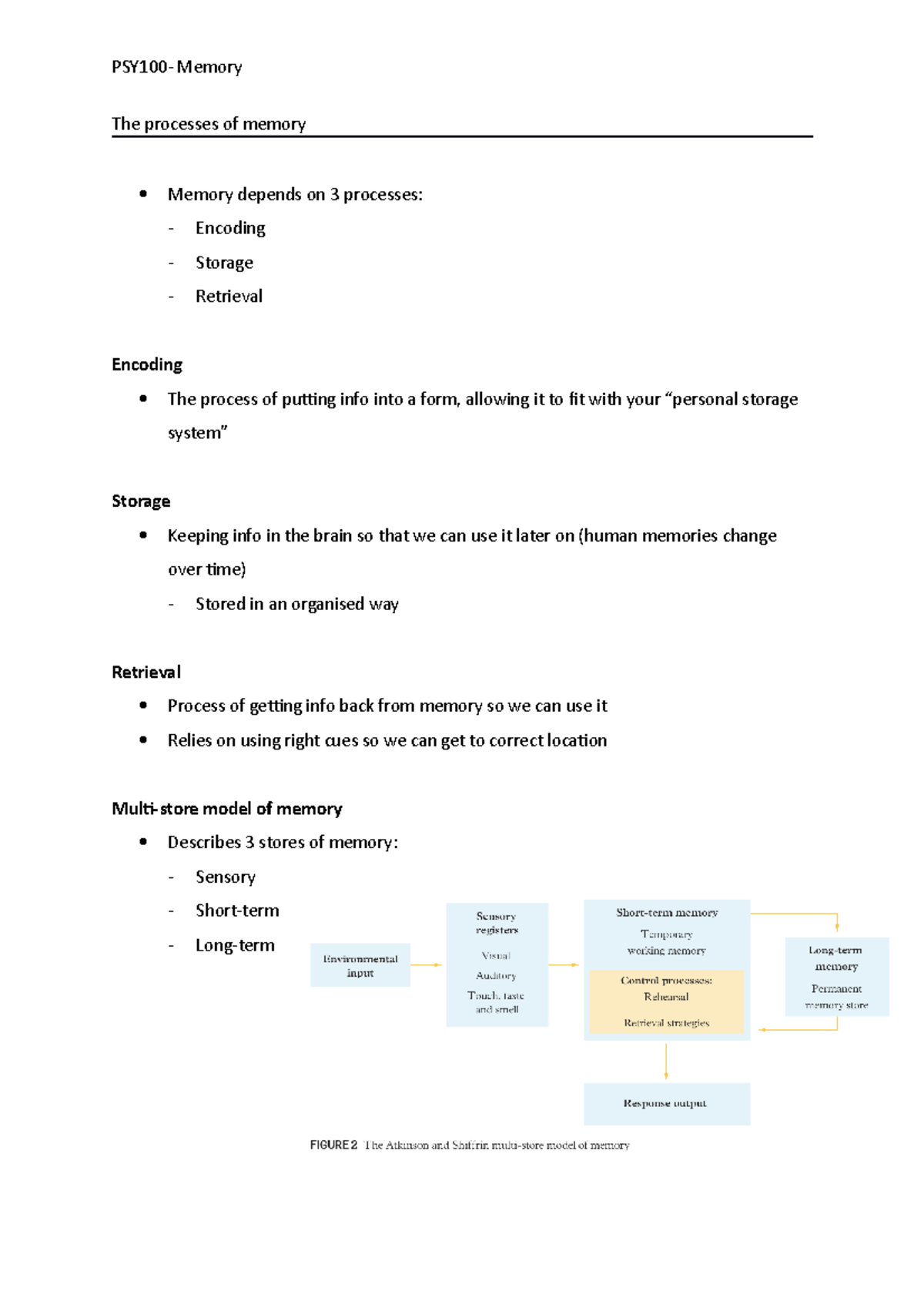 PSY100- Memory - The processes of memory Memory depends on 3 processes: - Encoding - Storage ...