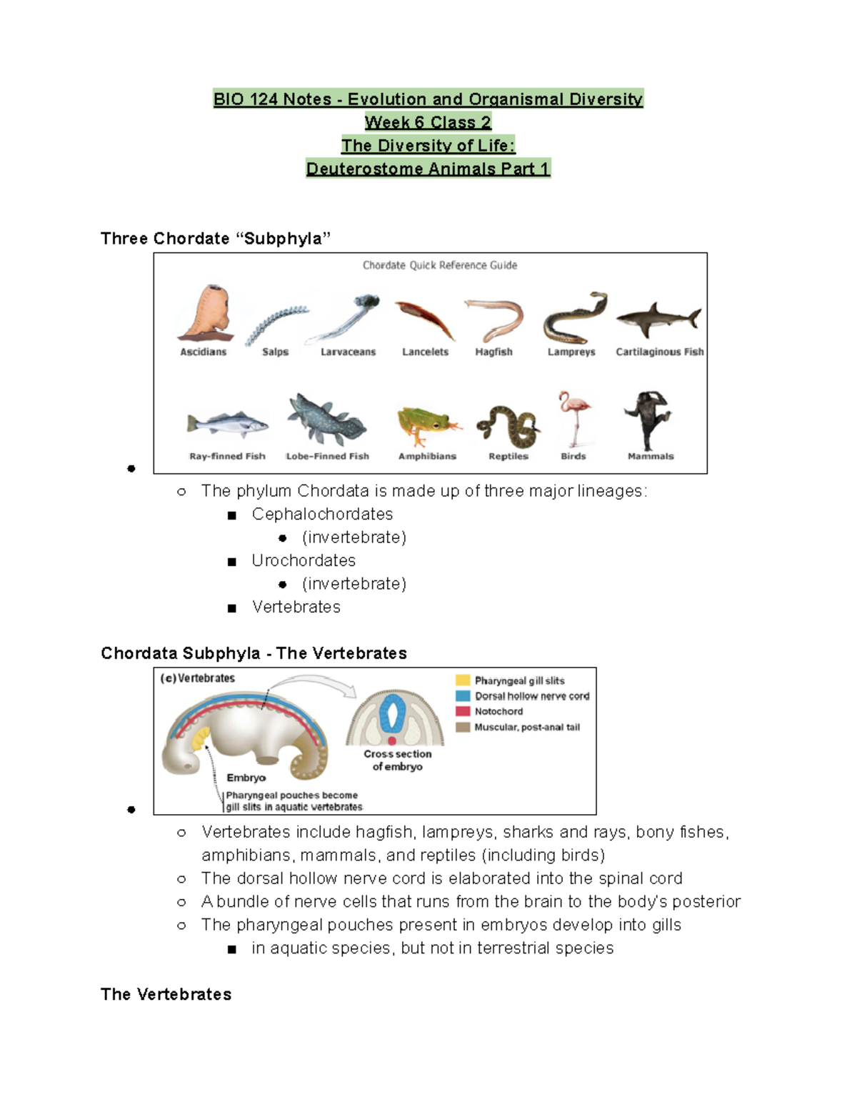 BIO 124 Week 6 Class 2 Notes - BIO 124 Notes - Evolution and Organismal ...