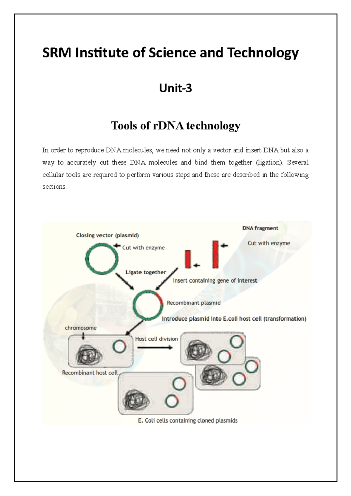 Tools of r DNA technology - SRM Institute of Science and Technology ...