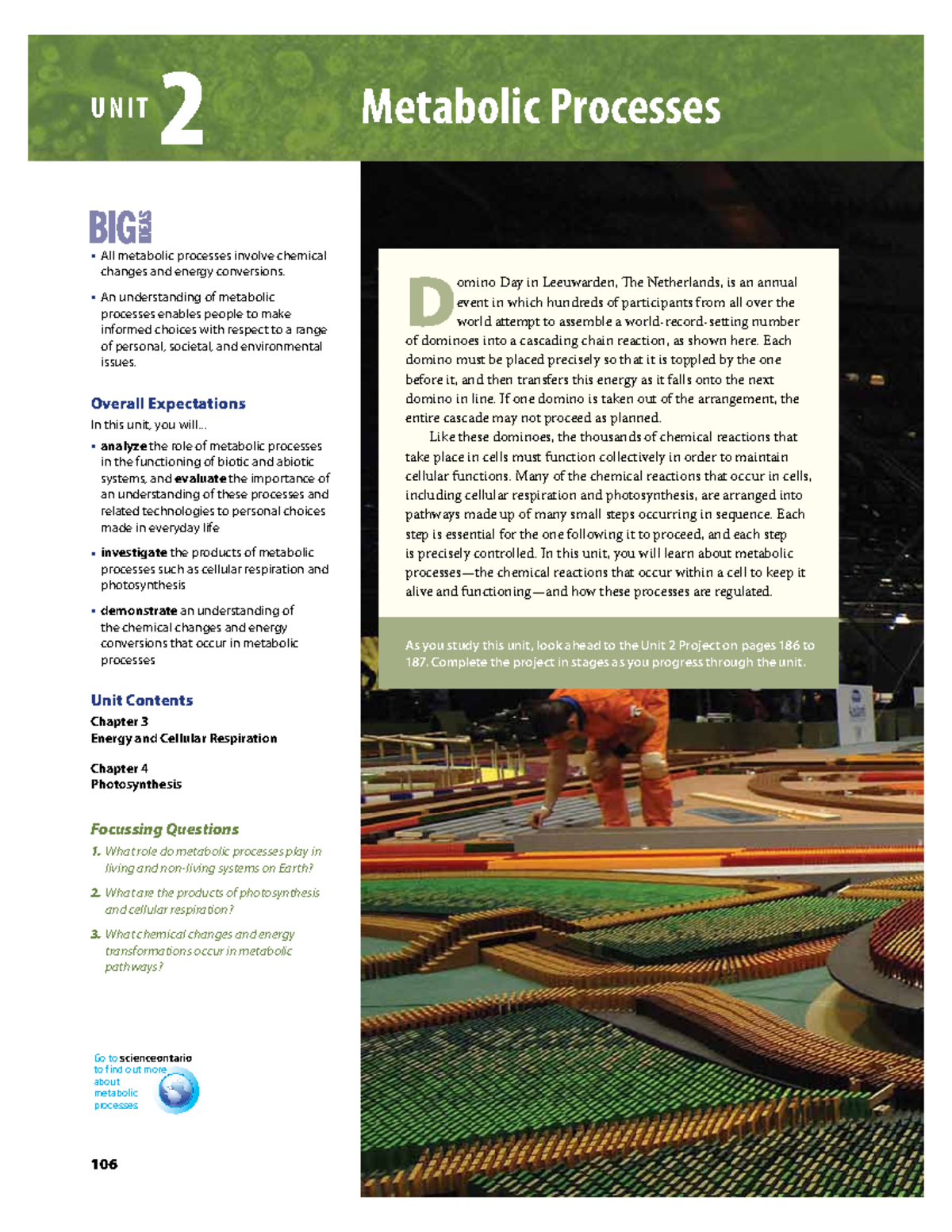 Metabolism Text - practice material - UNIT Metabolic Processes 2 D ...