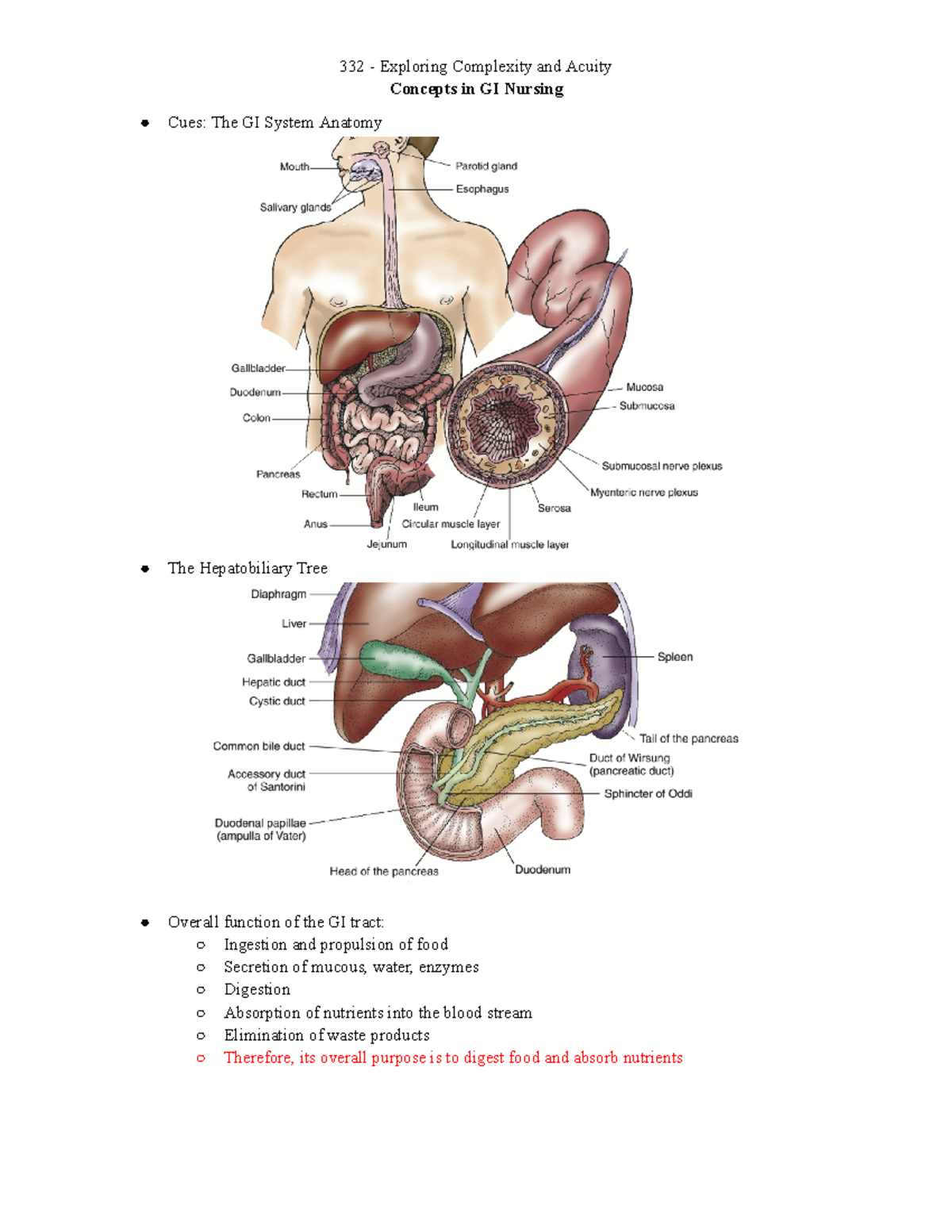 332 - GI Nursing (M6) - Concepts in GI Nursing Cues: The GI System ...