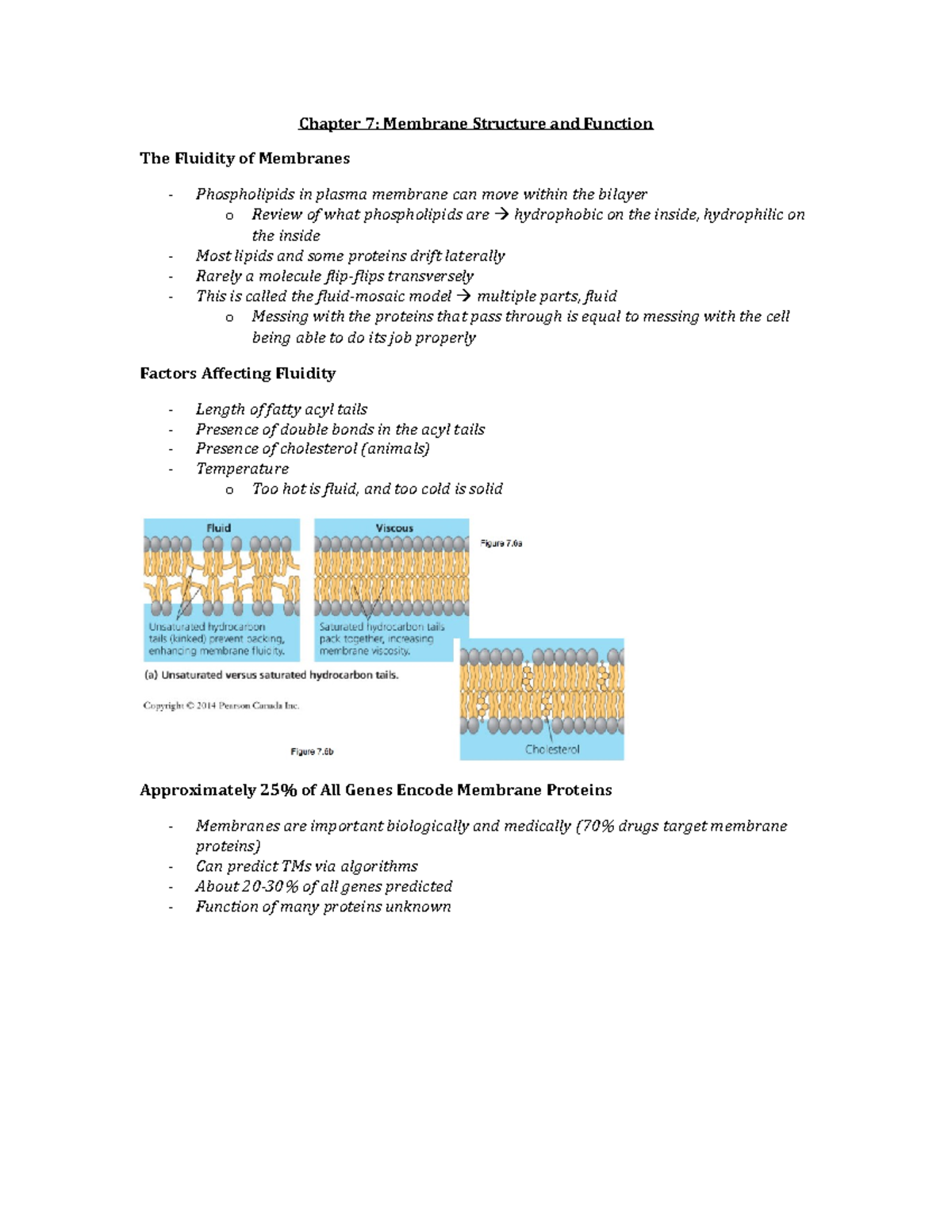 Lecture notes, lecture 6 - Membrane Structure and Function - Chapter 7 ...