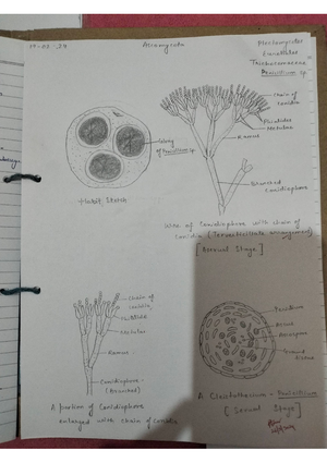 Doc Scanner May 3, 2023 4-59 PM - Botany Honours - Studocu