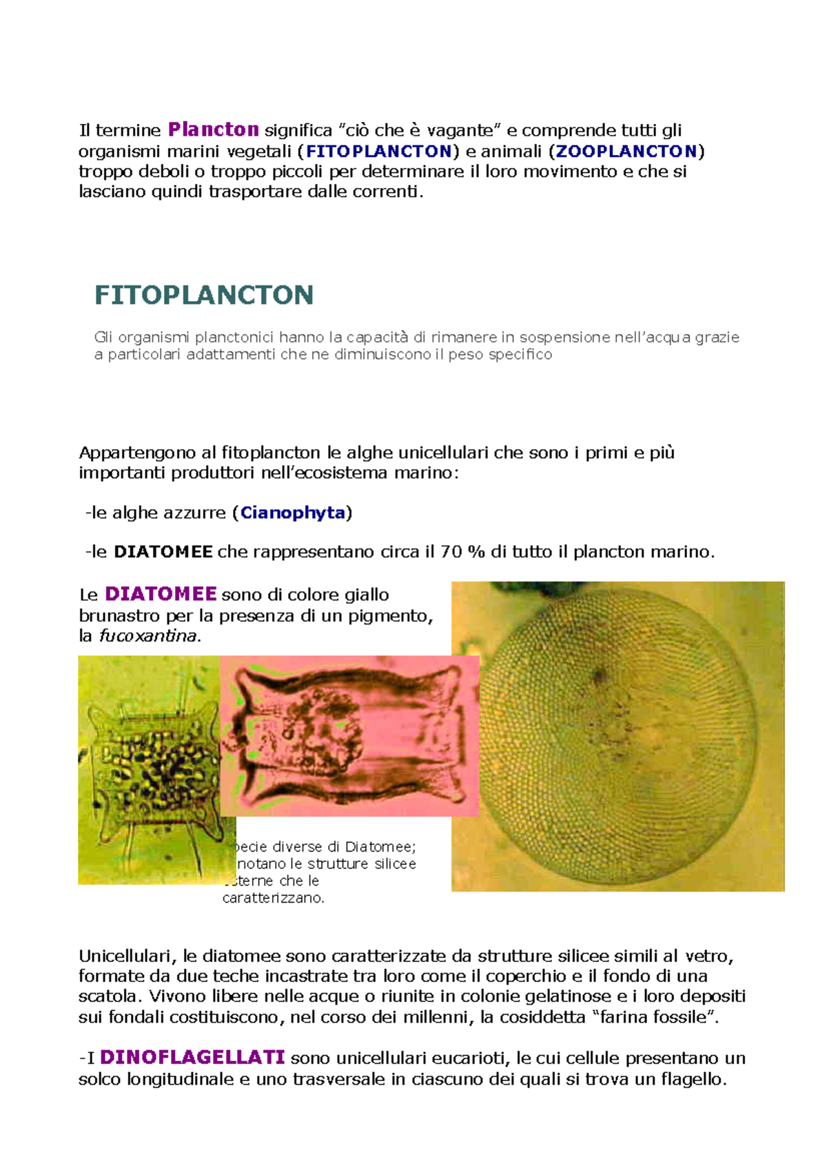 Tesina tossine algali - Il termine Plancton significa ”ciò che è ...