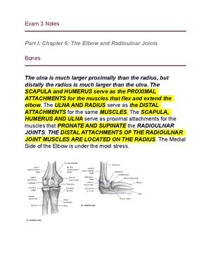 Directional Terminology - Chapter 1 Superior Superolateral Superomedial ...