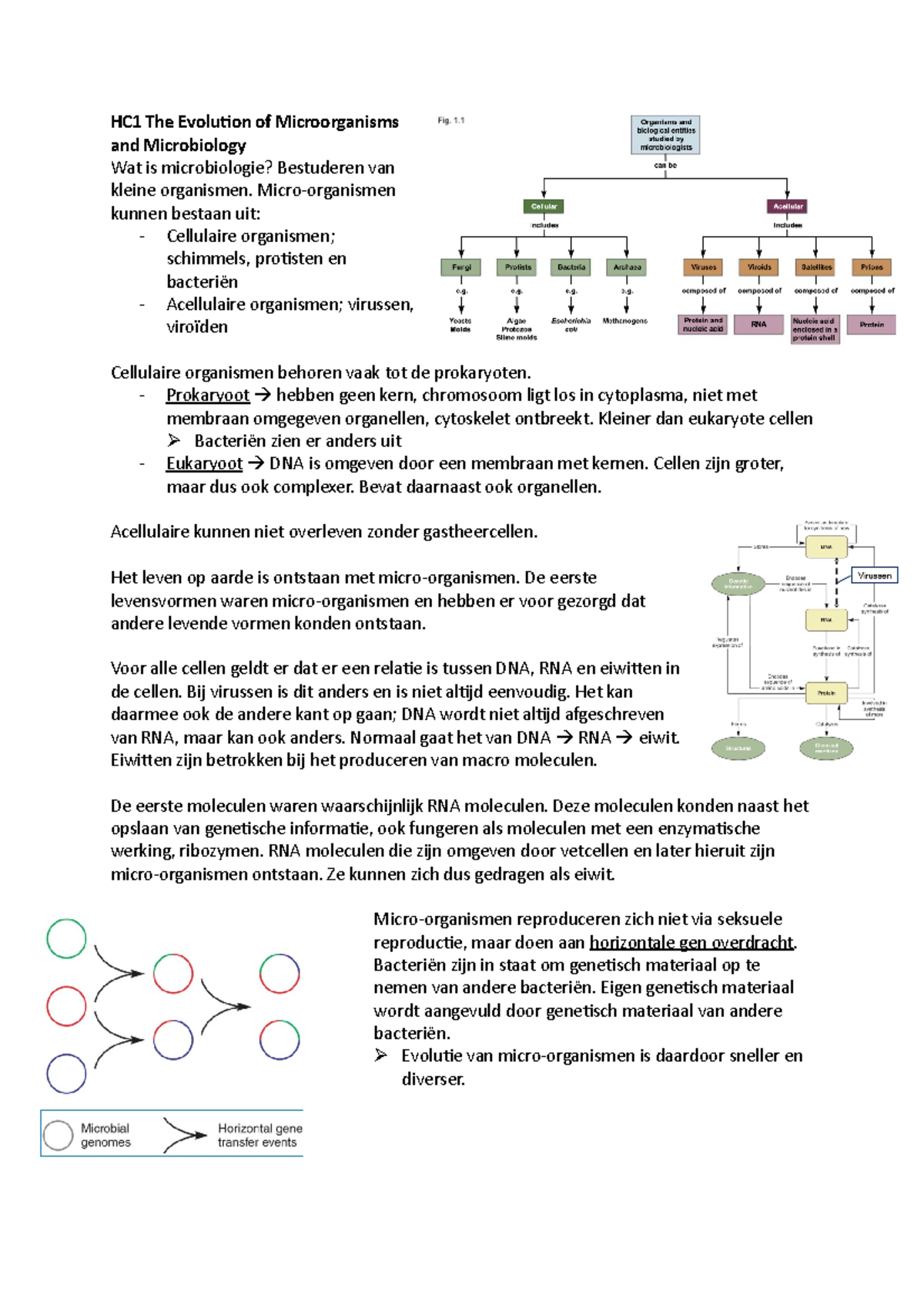 Hc1 Microbiologie Aantekeningen Van Het Eerste Hoorcollege Hc1 The